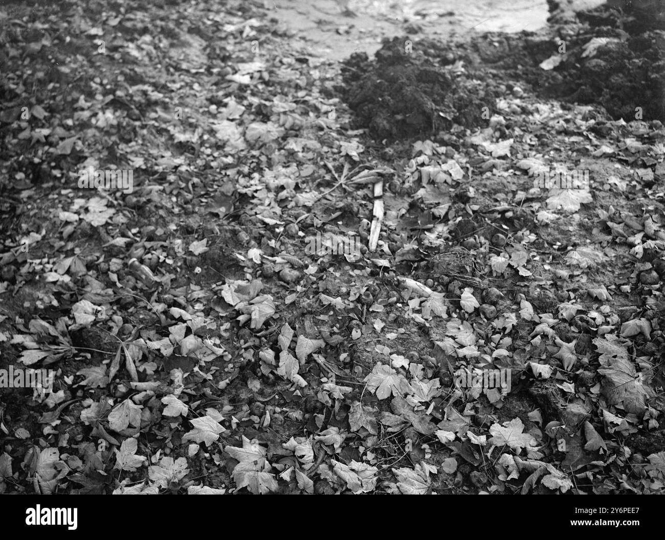 Coow River pollution . 1 January 1947 Stock Photo - Alamy