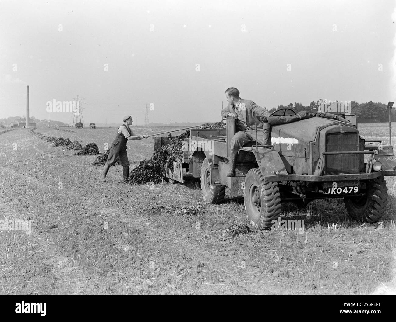 Seaweed Manure . 6 October 1947 Stock Photo - Alamy
