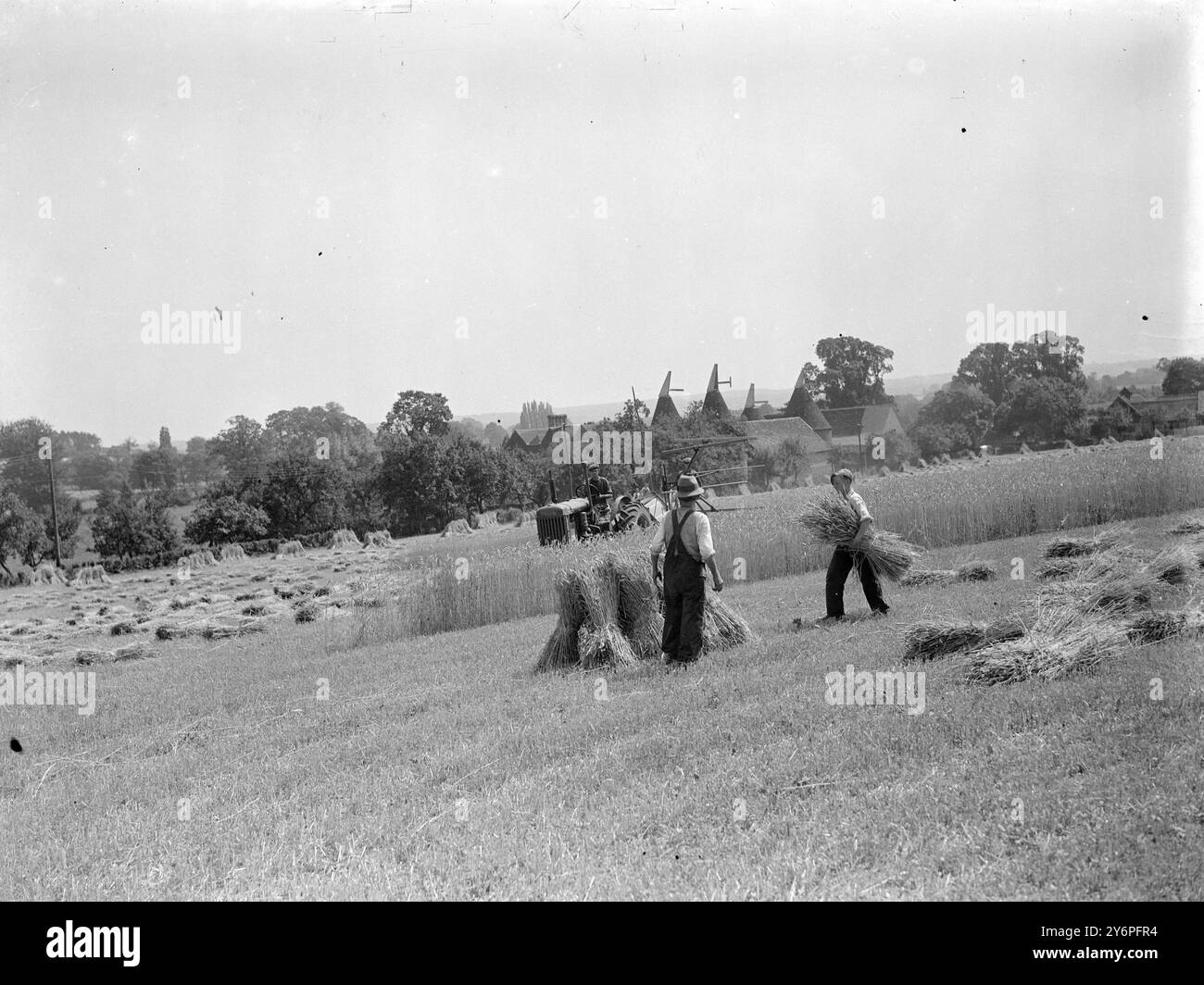 Wheat harvest august Black and White Stock Photos & Images - Alamy