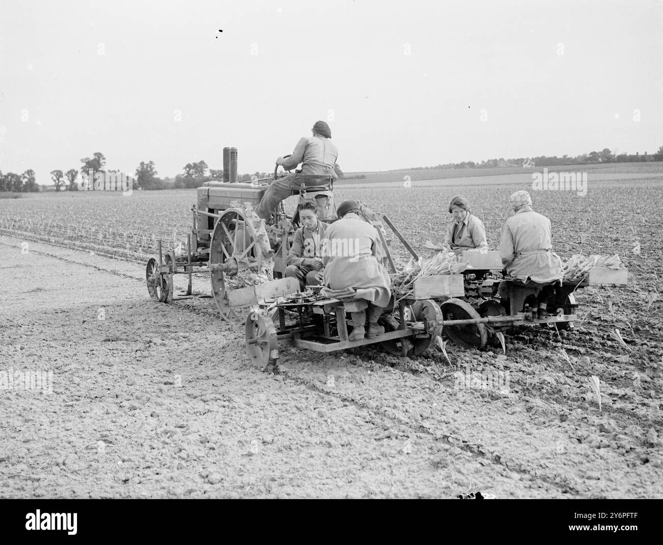 Robot planting Broccoli 25 July 1947 Stock Photo - Alamy