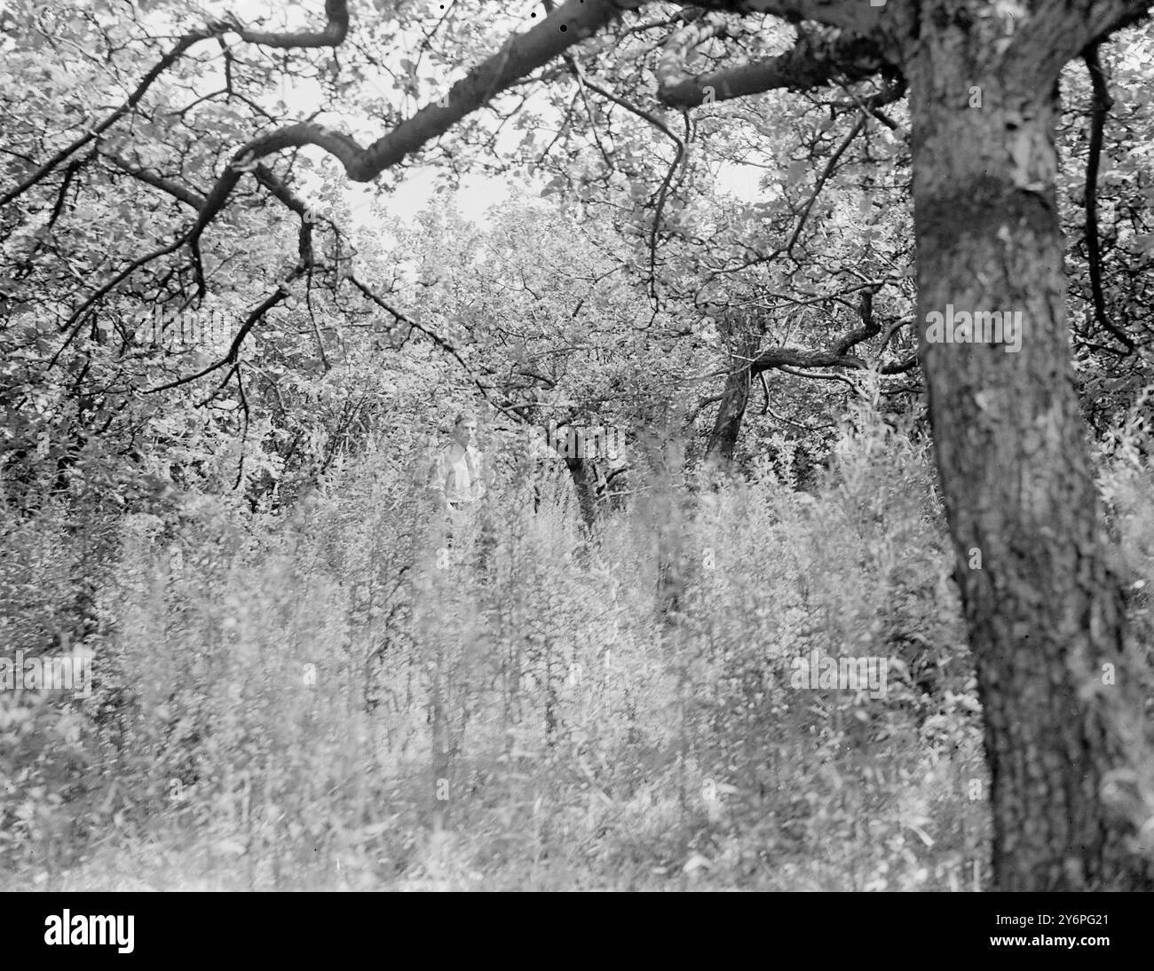 West malling Black and White Stock Photos & Images - Alamy
