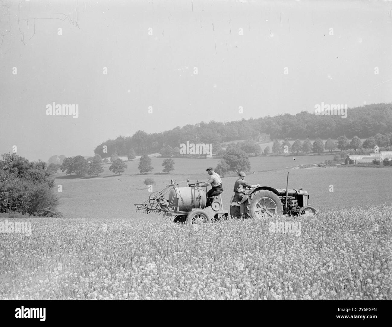 Charlock acid sprayer 17 June 1947 Stock Photo - Alamy