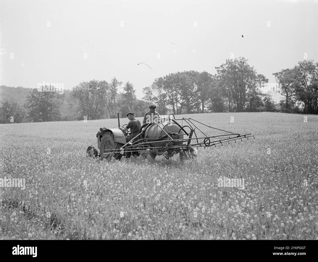 Charlock acid sprayer 17 June 1947 Stock Photo - Alamy