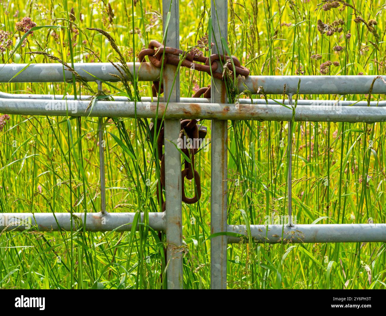 Farm gate padlock and chain hi-res stock photography and images - Alamy