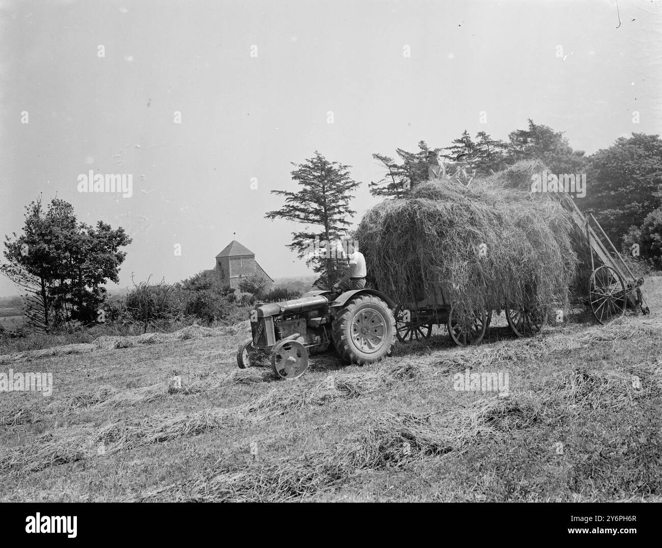 Clover crop harvest 4 June 1947 Stock Photo - Alamy