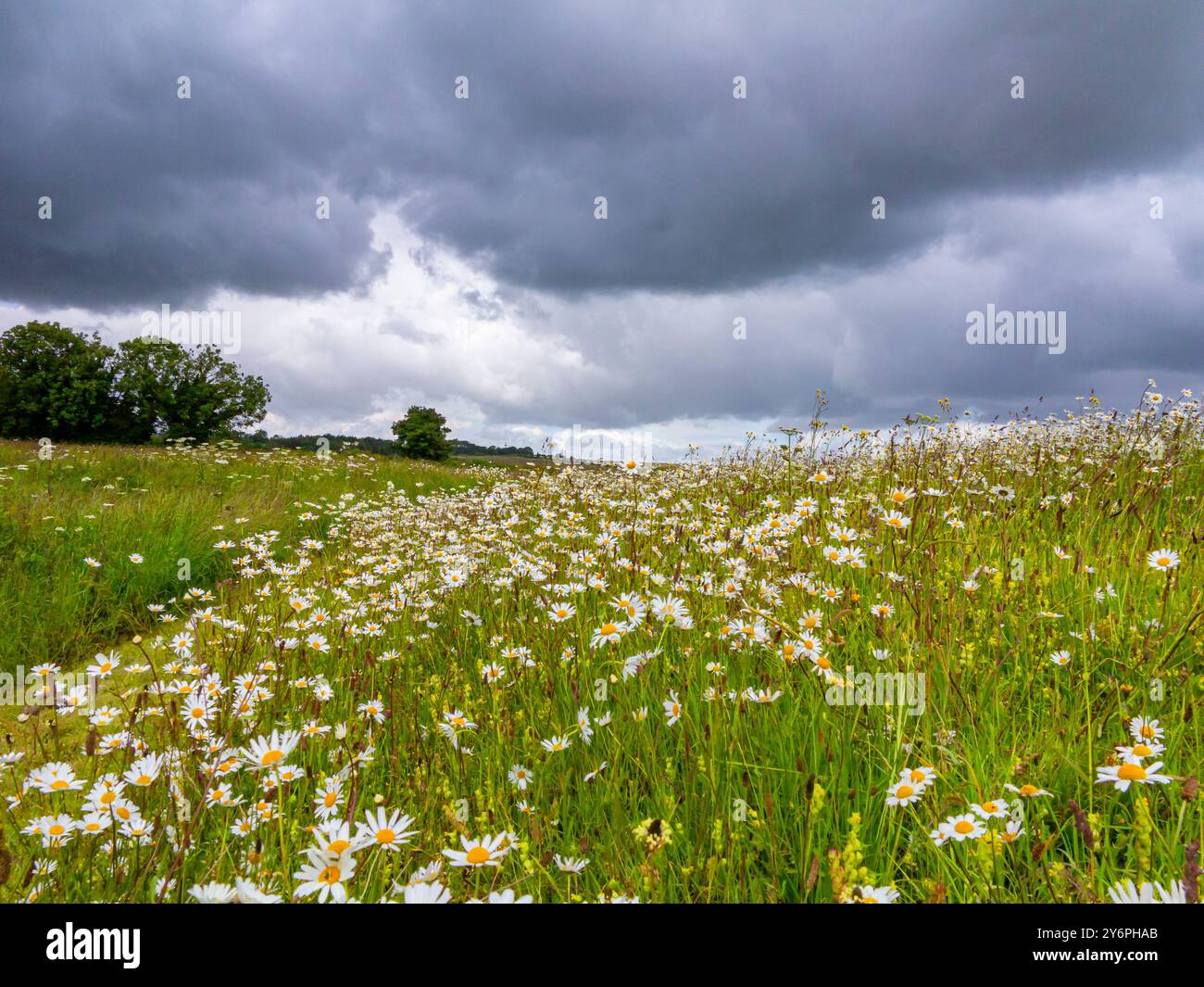 Field in summer with sky above near Long Compton and the Rollright ...