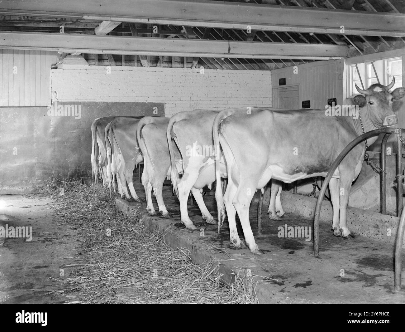 Farm interior s Black and White Stock Photos & Images - Alamy