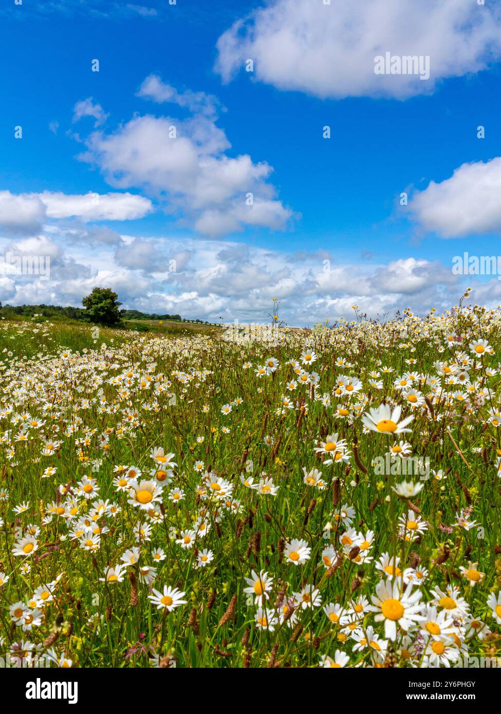 Border of warwickshire and oxfordshire hi-res stock photography and ...