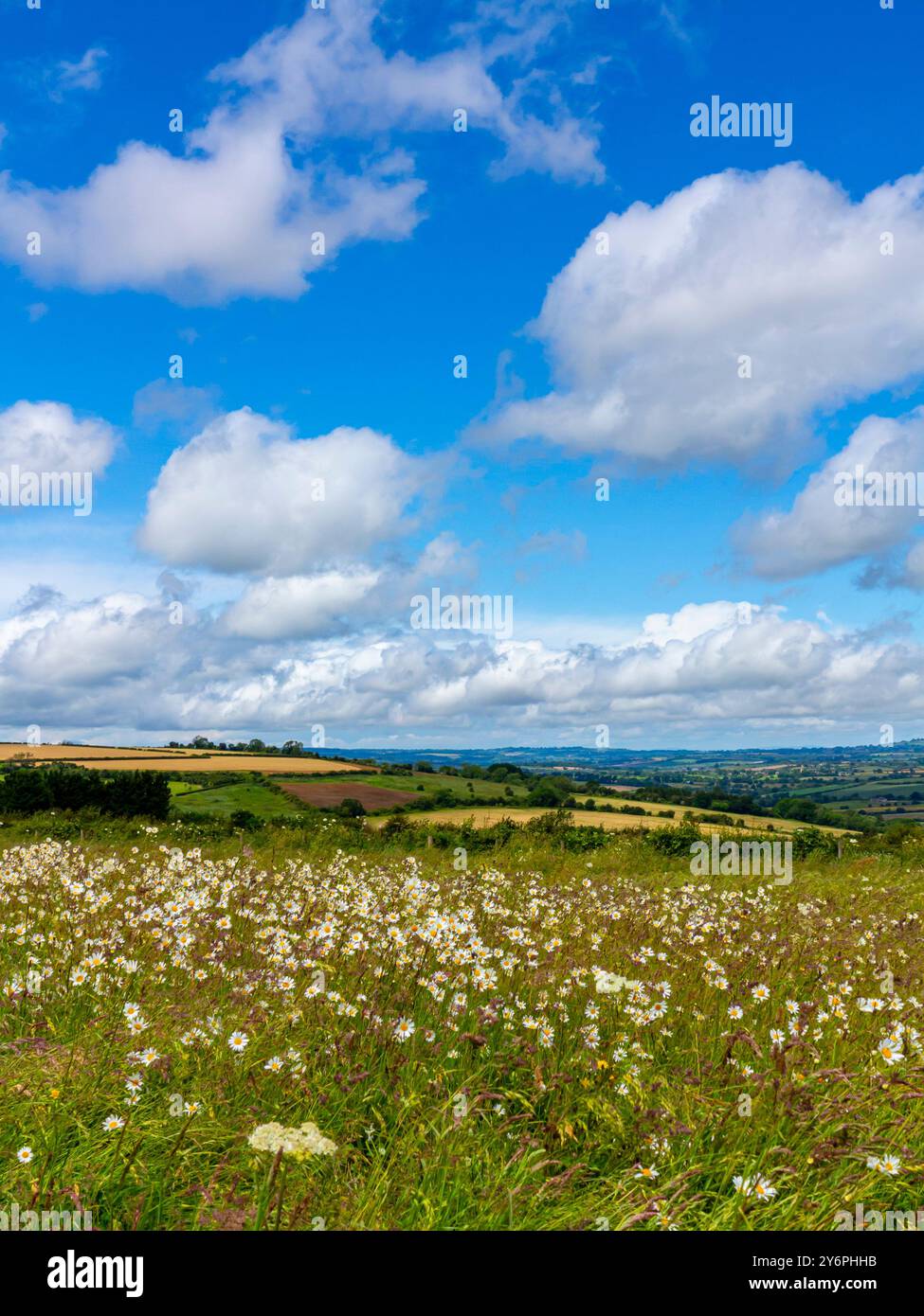Field in summer with sky above near Long Compton and the Rollright ...