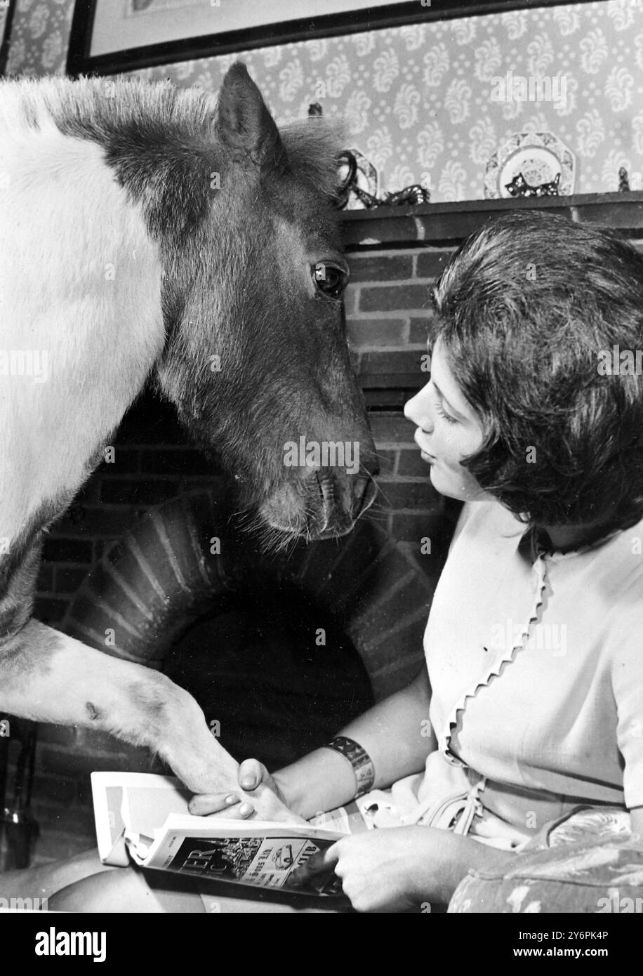 JANET SELBY WITH A PET SHETLAND PONY / ; 17 AUGUST 1962 Stock Photo - Alamy