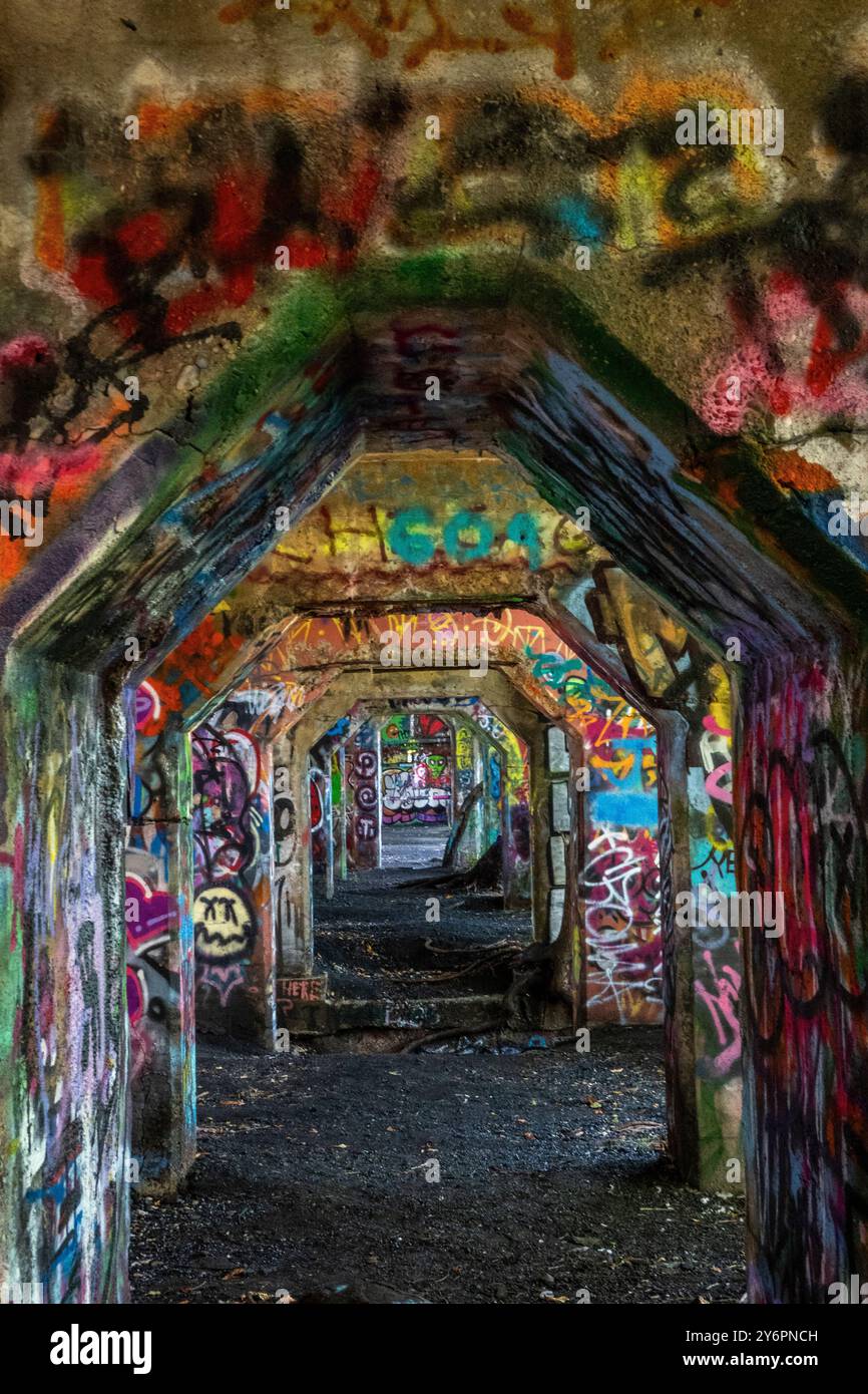 Graffiti pier park project public artwork art piers under underground ...