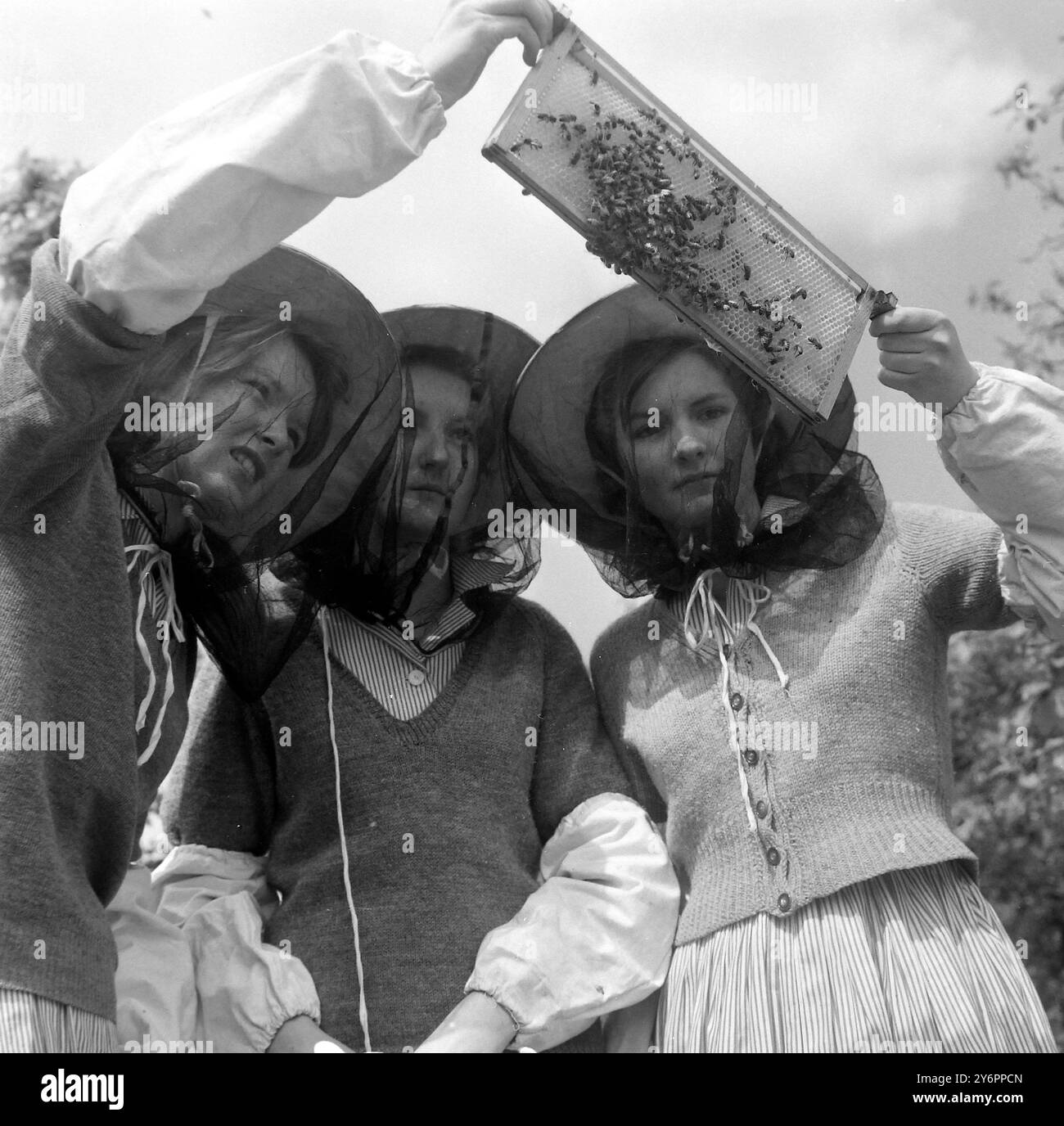 ANN HOLLIER AND JANET LOCKE & THEIR BEES HIVES - HONEY COLLECTING ; 30 ...