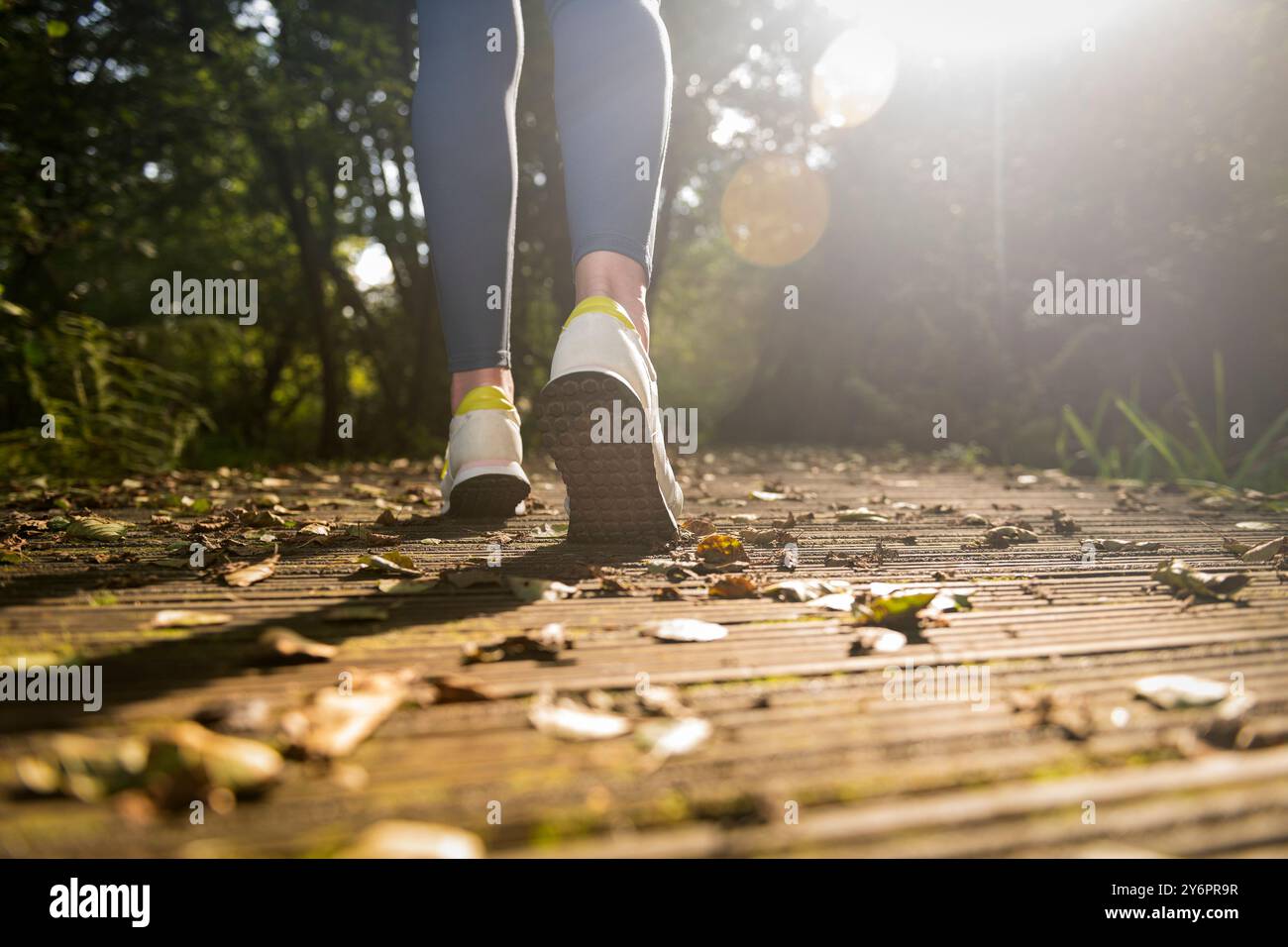 Low angle walking on boardwalk hi-res stock photography and images - Alamy