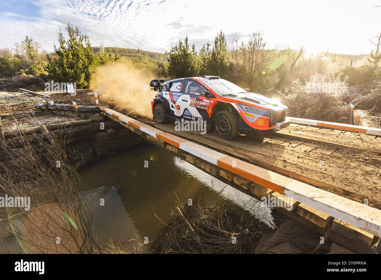08 TANAK Ott, JARVEOJA Martin, Hyundai I20 Rally1, action during the ...