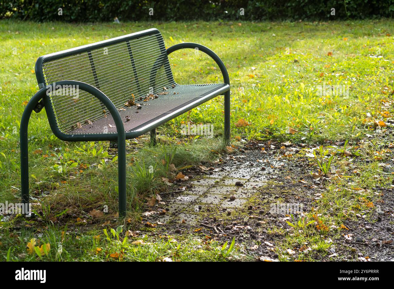 Wet public bench hi-res stock photography and images - Alamy