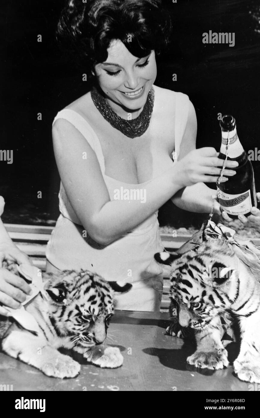 DANIELA ROCCA WITH TIGER CUBS SORDI ALBERTO / ; 24 JUNE 1962 Stock ...