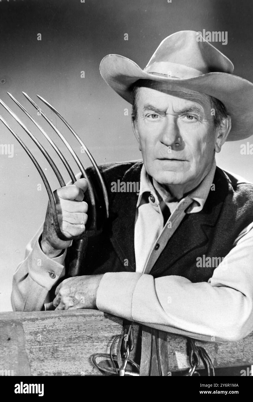 Demarest hi-res stock photography and images - Alamy