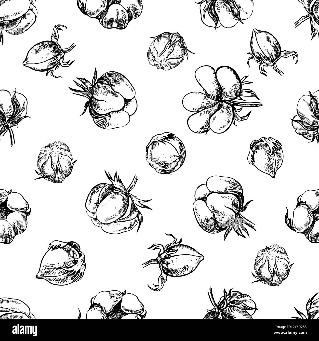 The cotton is organic. Seamless black and white pattern, graphic vector ...