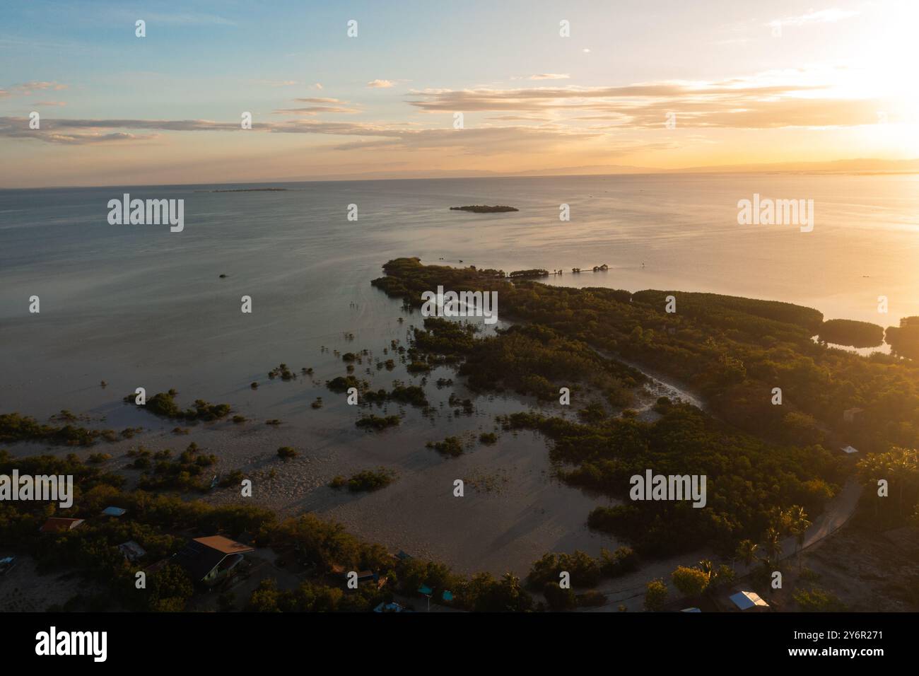 Scenic landscape of Sunset over the Mangrove forest in Olango Island ...