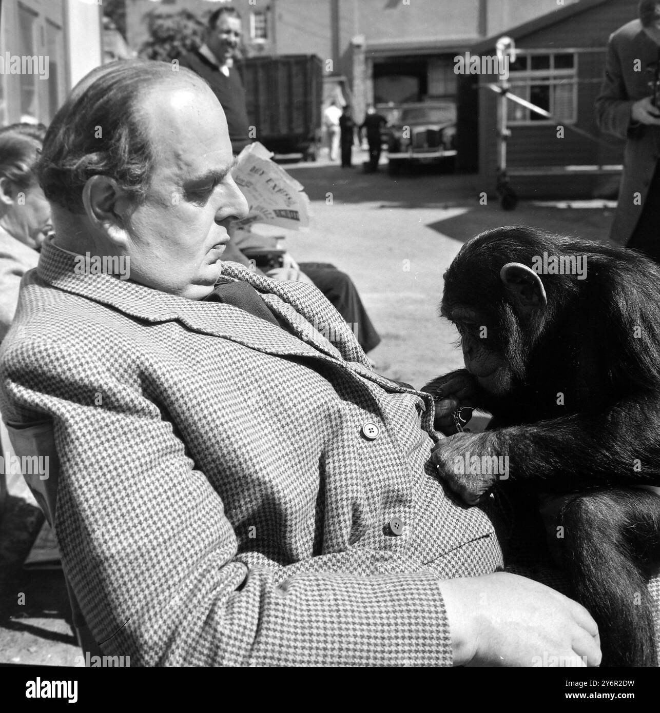 ROBERT MORLEY FILMING CHIMPANZEE IN WINDSOR / ; 13 JUNE 1962 Stock ...