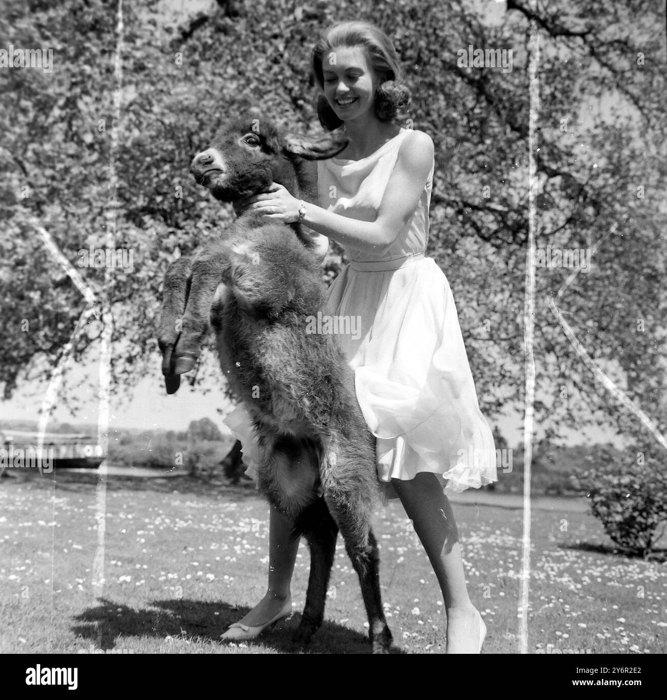 Janette scott hi-res stock photography and images - Alamy