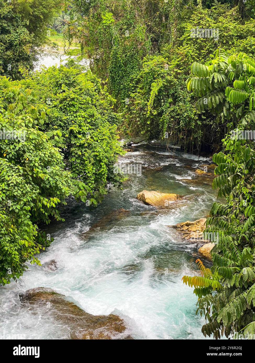 Water flowing over the rocks in tropical river surrounded by tropical ...