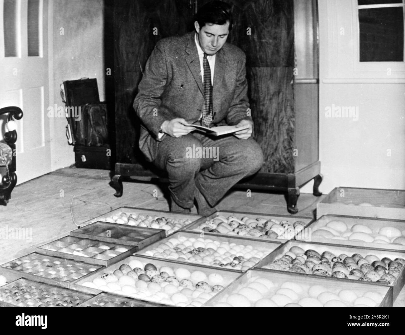 DAVID ANSELL WITH COLLECTION OF EGGS / ; 10 JUNE 1962 Stock Photo - Alamy