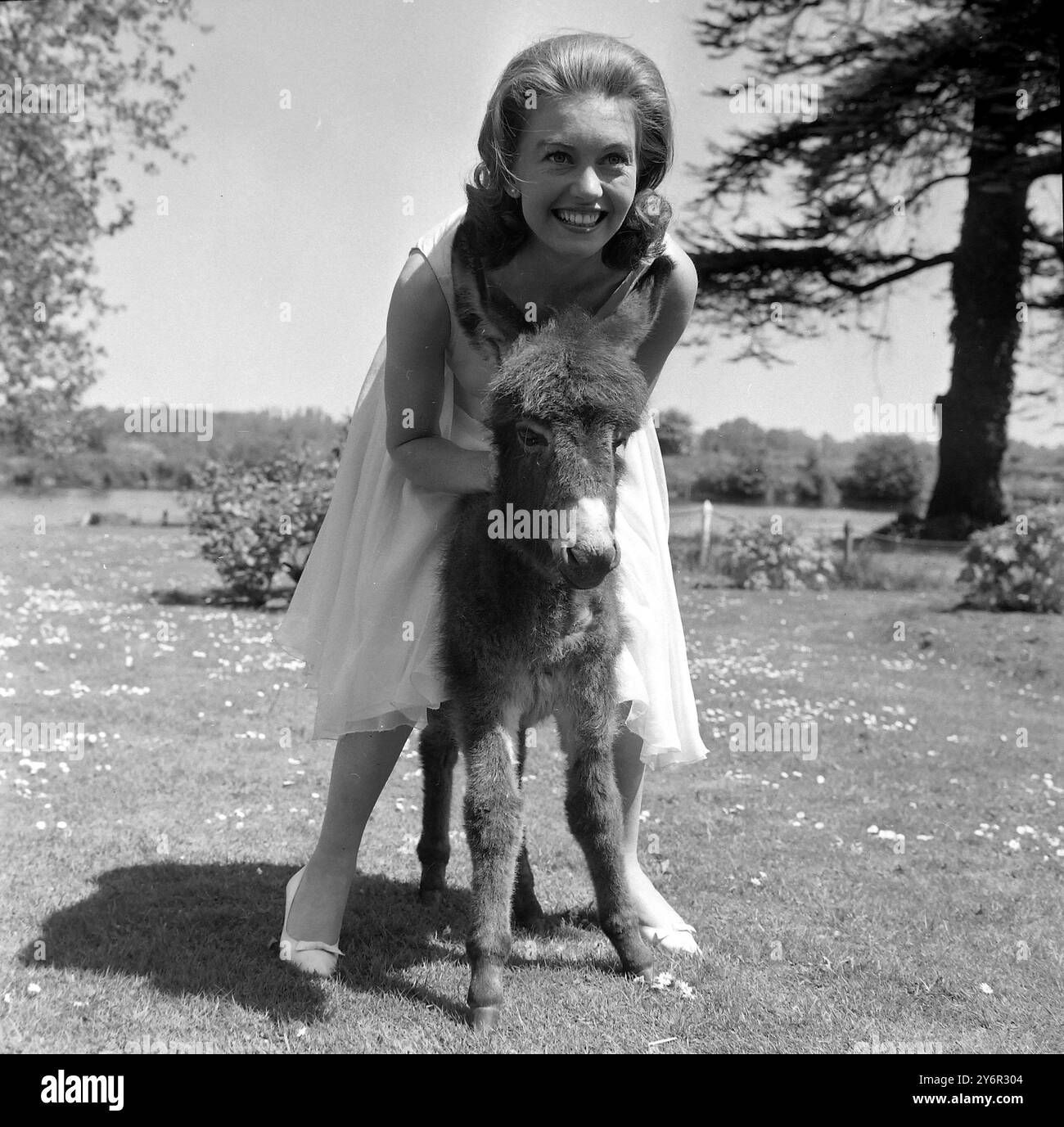 JANETTE SCOTT WITH DONKEY IN FILM / ; 7 JUNE 1962 Stock Photo - Alamy