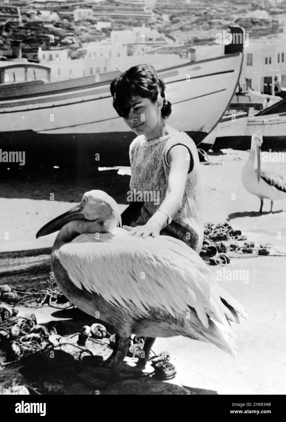 Princess soraya hi-res stock photography and images - Alamy