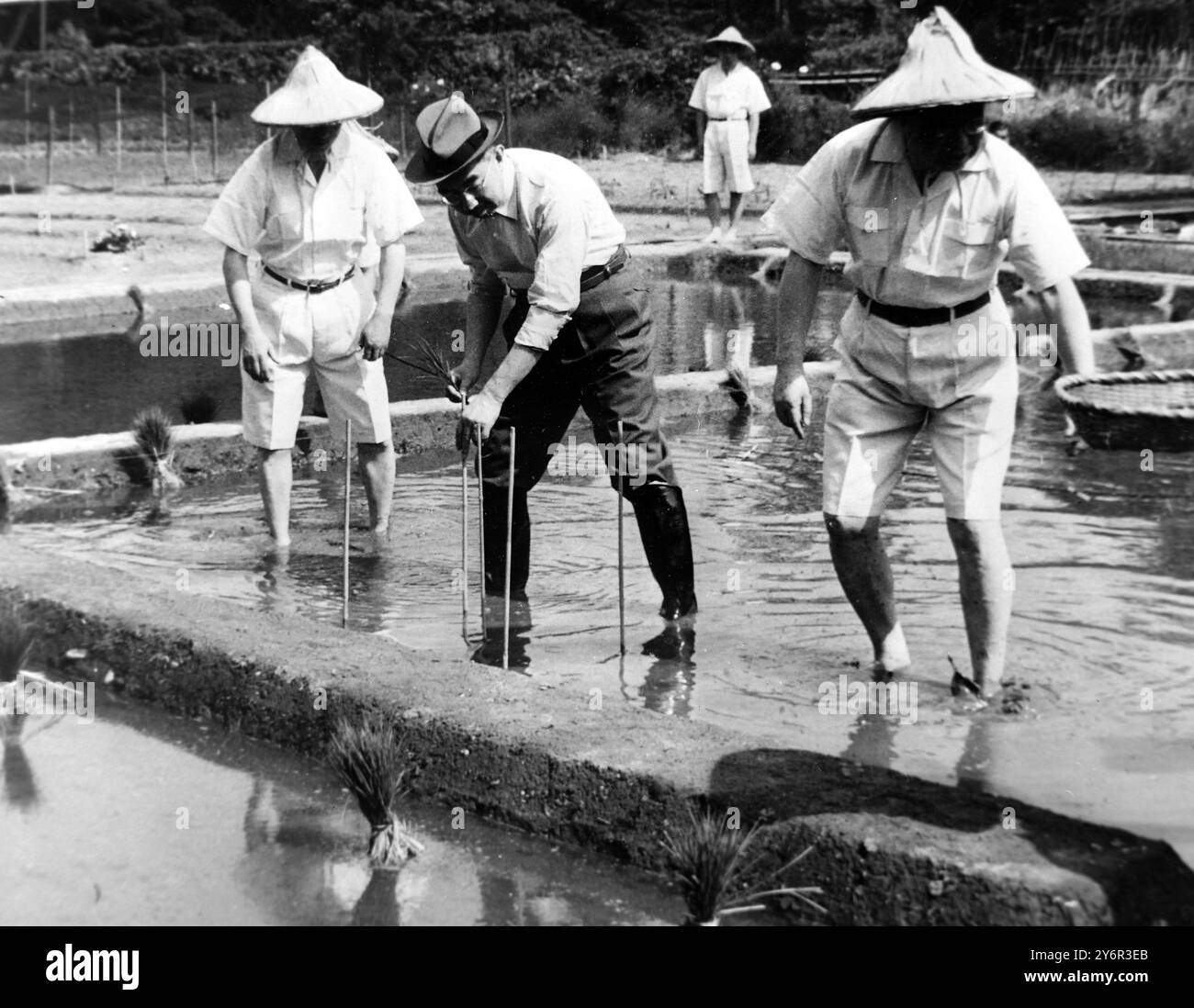 EMPEROR HIROHITO PLANTS RICE IN PADDY FIELD IN TOKYO ; 5 JUNE 1962 ...