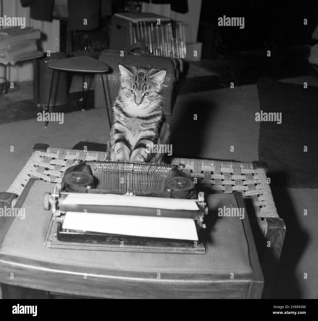 Using a typewriter hi-res stock photography and images - Alamy