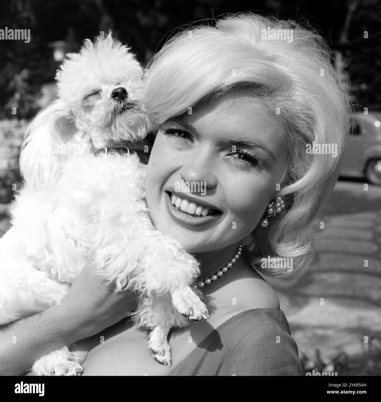 JAYNE MANSFIELD WITH PET DOG DOCTOR / ; 24 MAY 1962 Stock Photo - Alamy