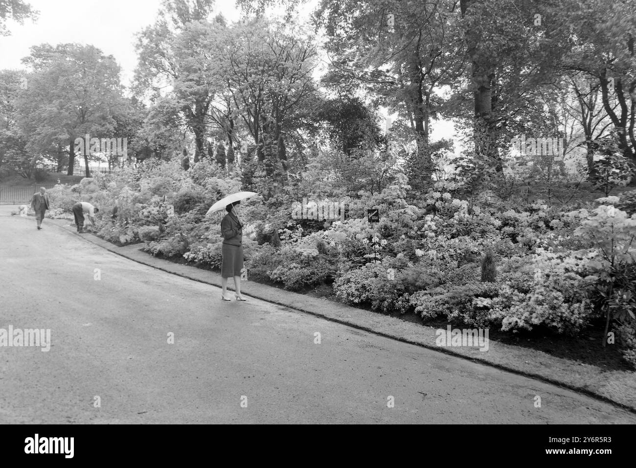 Chelsea flower show black and white Black and White Stock Photos ...