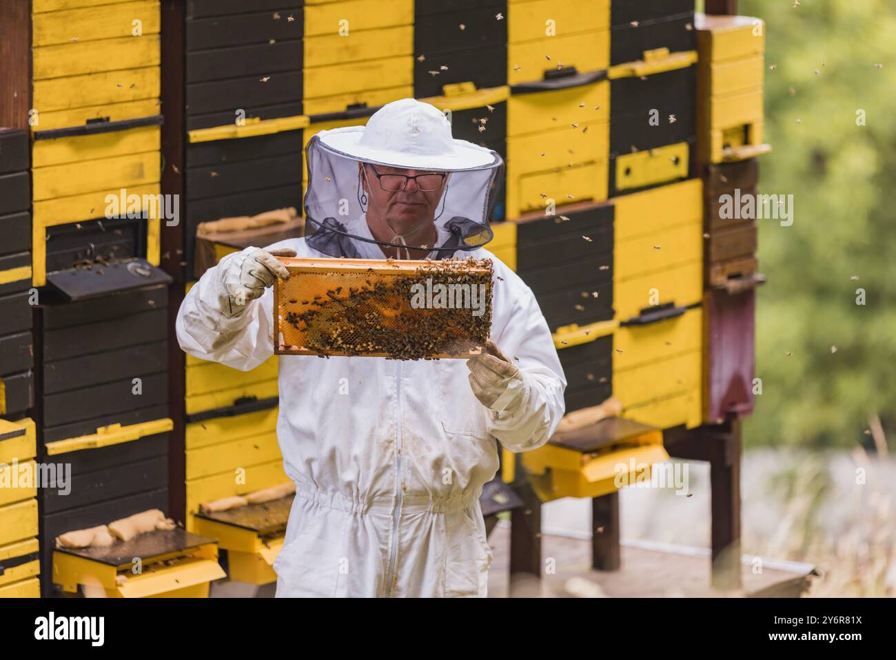 Beekeeper in full protective gear standing in front of beehive boxes ...