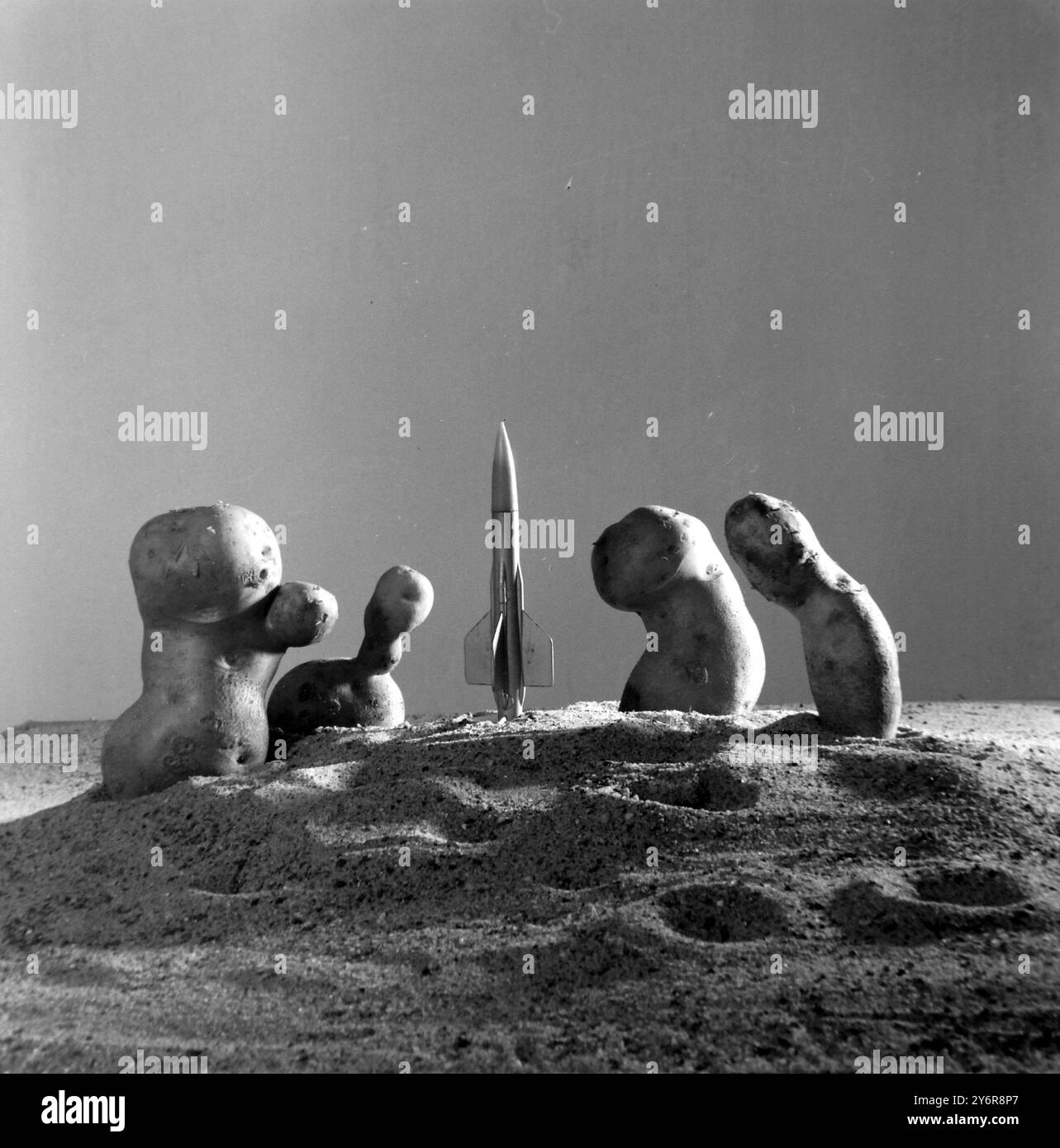 POTATOES ODD SHAPED POTATOES ; 4 MAY 1962 Stock Photo - Alamy