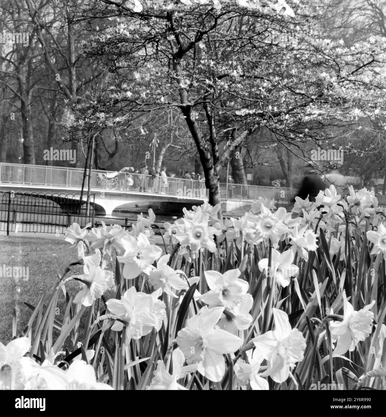 SPRING SCENE ST JAMES PARK ; 2 MAY 1962 Stock Photo - Alamy