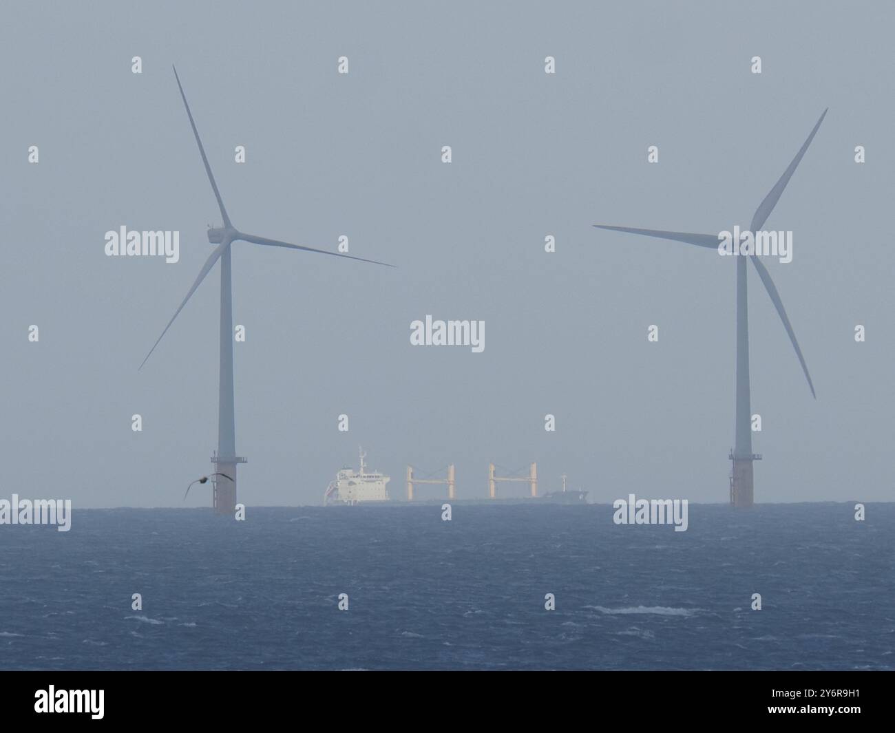 Mv ruby hi-res stock photography and images - Alamy