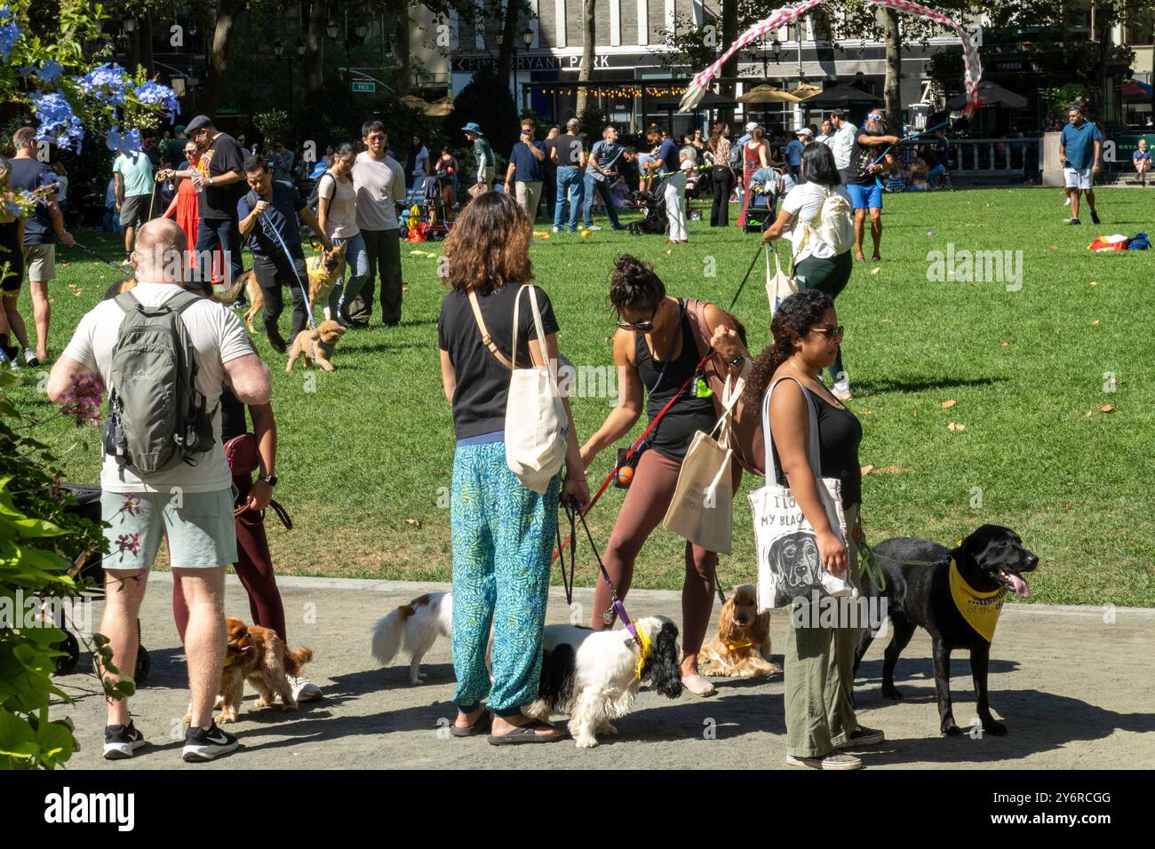 Pet owners gather in Bryant Park with their dogs for the paws on parade ...