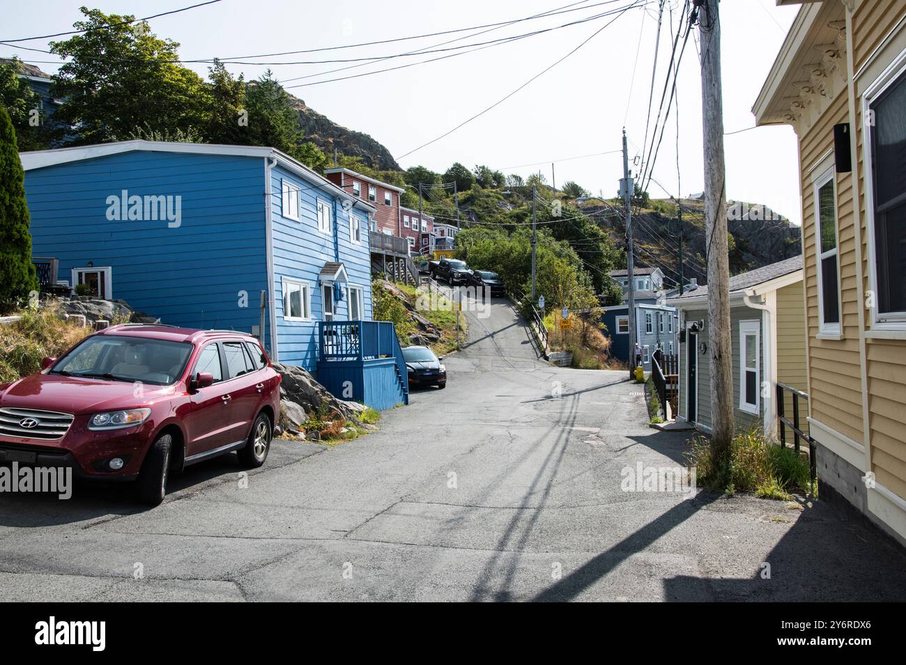 Tree in battery hi-res stock photography and images - Alamy
