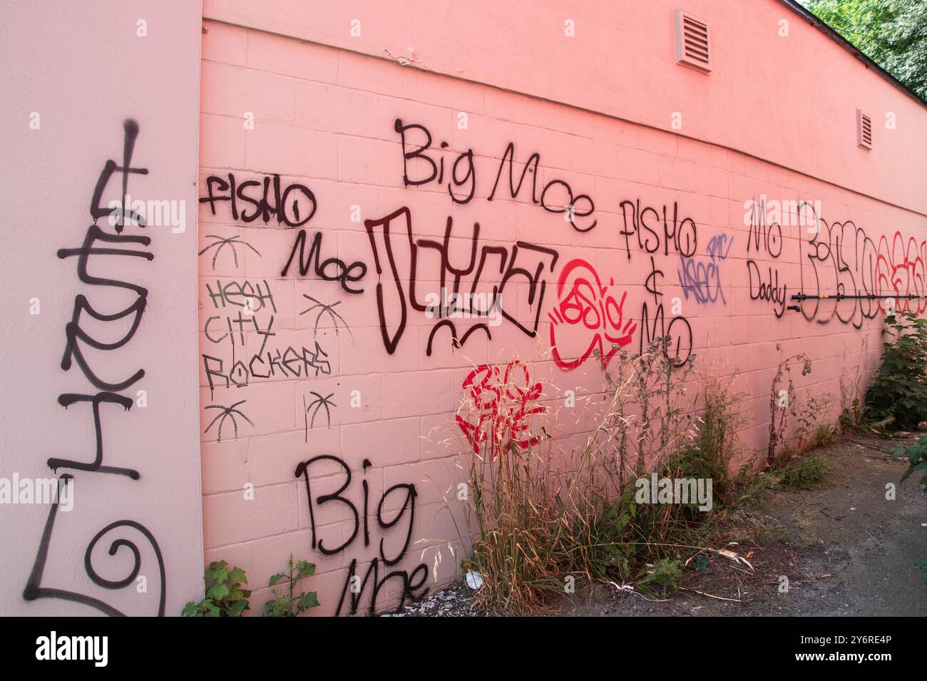 Graffiti tagged on a building in an alley in downtown St. John's ...