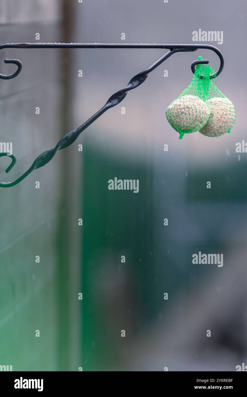 2 bird fat balls in a green net hanging outside to feed birds in the ...
