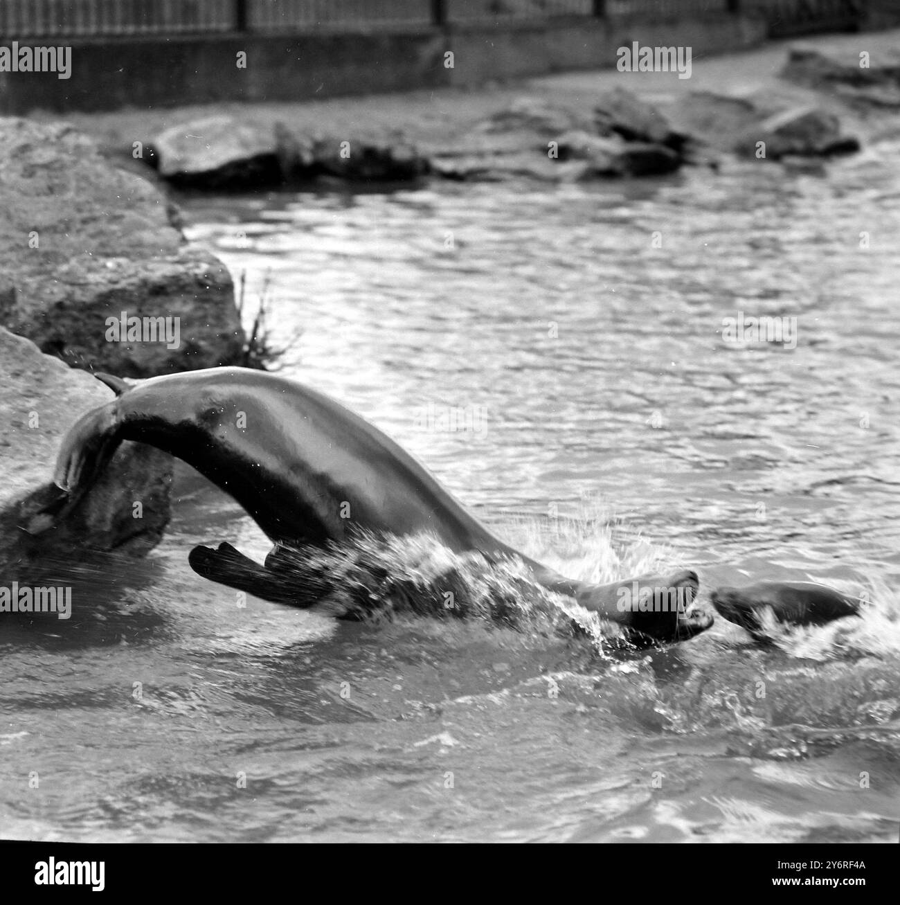 Seal of london hi-res stock photography and images - Alamy
