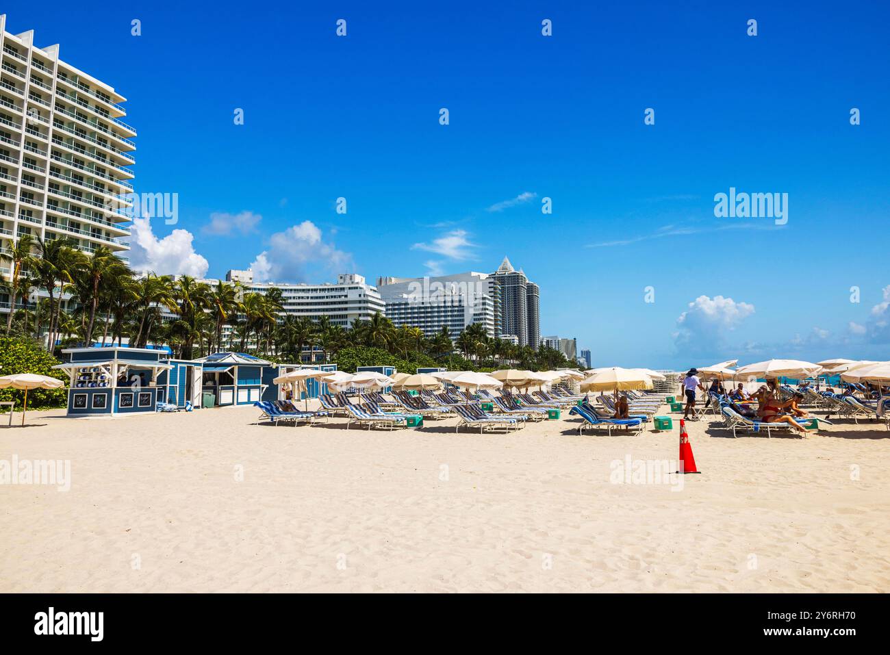 Luxury beachfront with palm trees, hotels and beach chairs on Miami ...