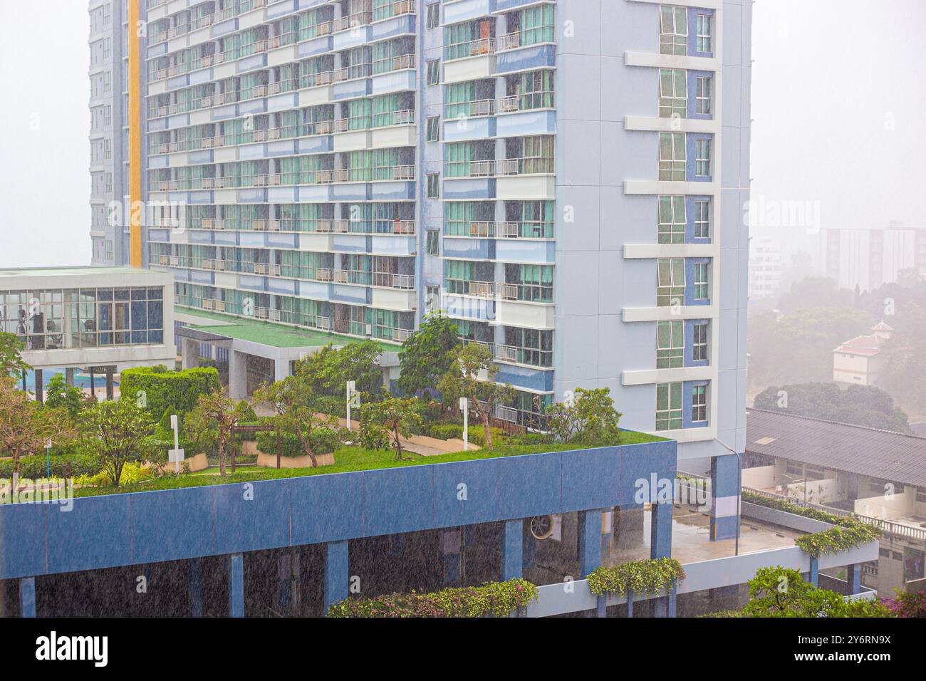 high rise building overlooking tropical recreation area on rainy day ...