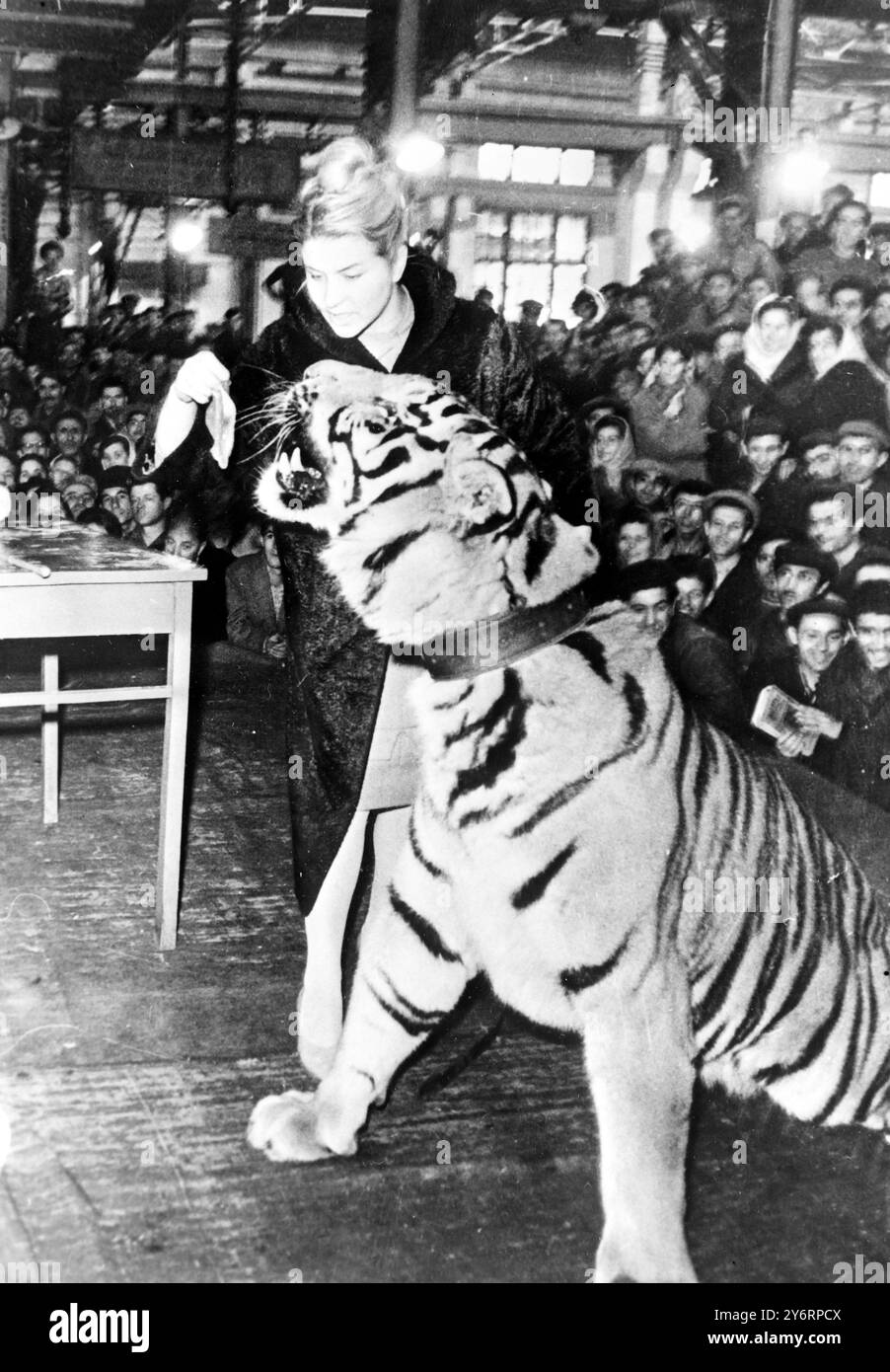 MARGARITA NAZAROVA TIGER TAMER 23 FEBRUARY 1962 Stock Photo - Alamy