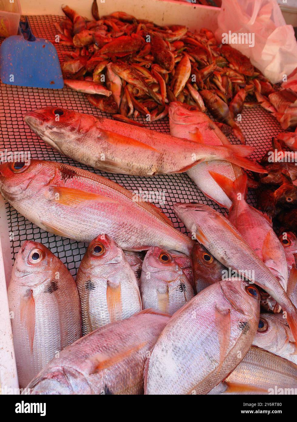 Fish on the fishmonger Stock Photo - Alamy