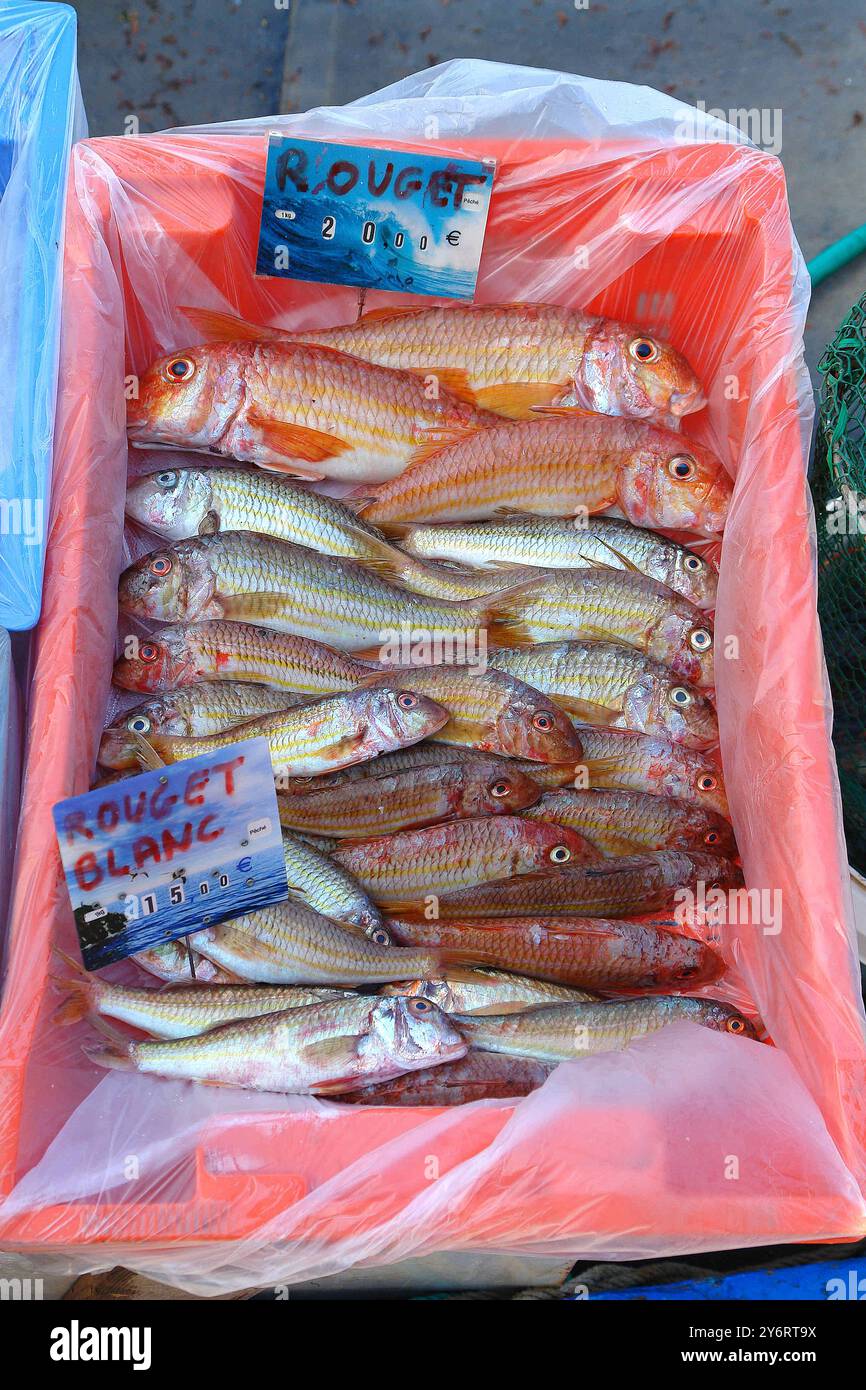 Fish on the fishmonger Stock Photo - Alamy
