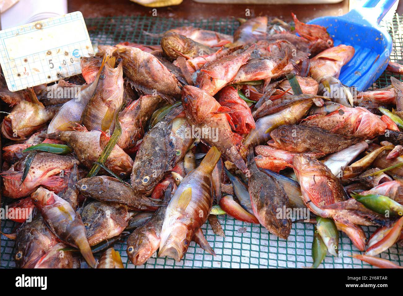 Rock fish on the market Stock Photo - Alamy