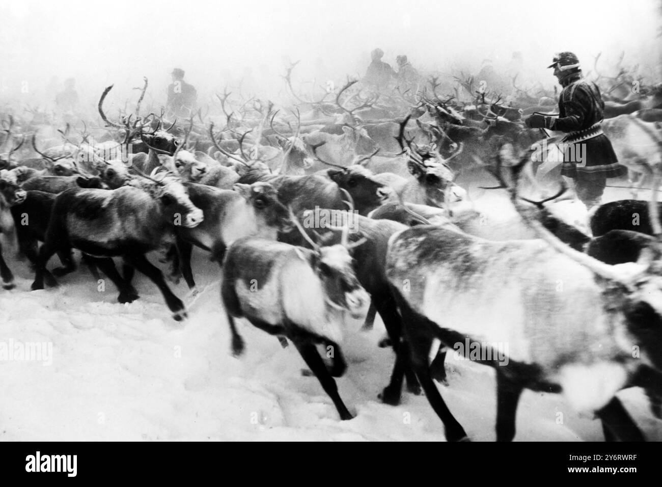 11 FEBRUARY 1962 LAPLANDERS, IN TEMPERATURES REACHING MINUS 33 ...