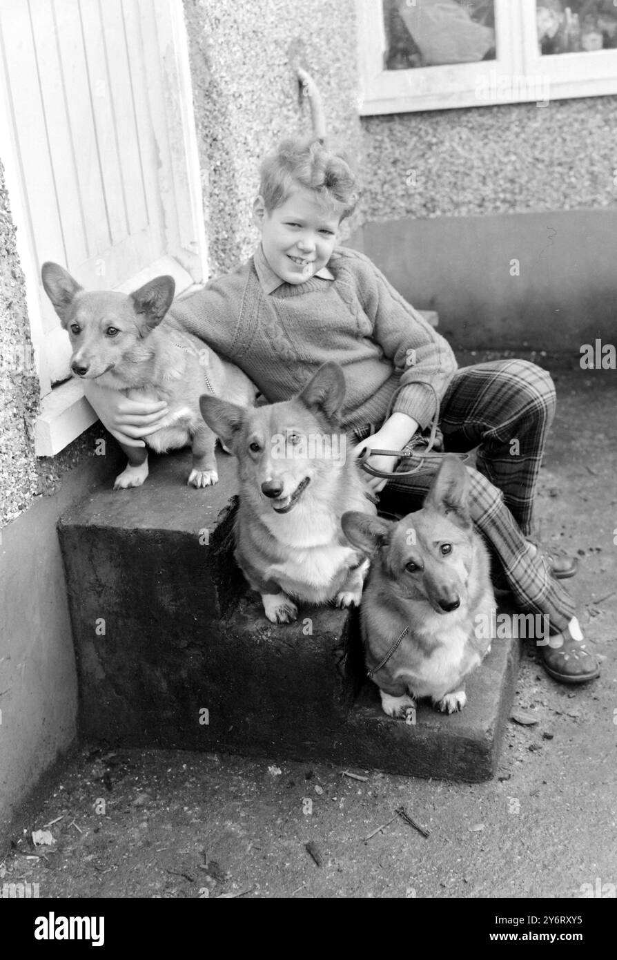IAN FRANKS WITH CORG DOGS / 8 FEBRUARY 1962 Stock Photo - Alamy